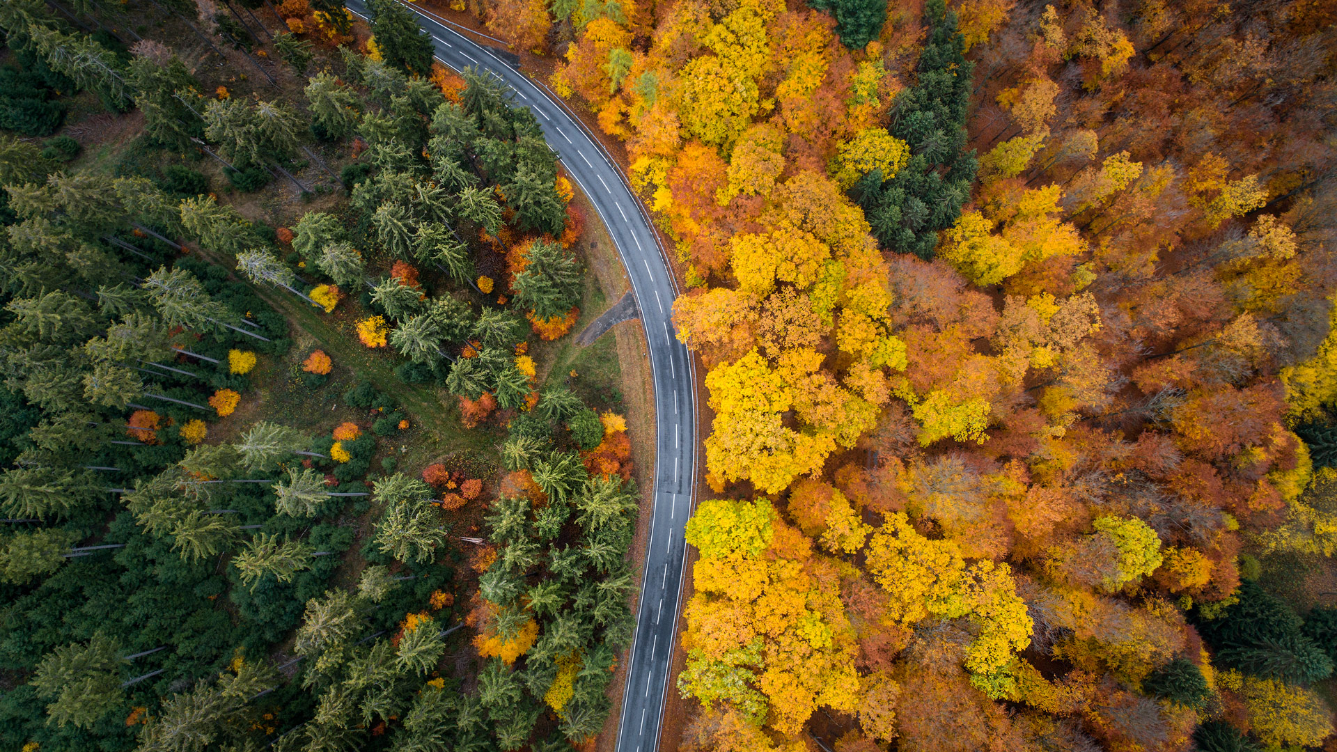 Separately Managed Accounts | First Sentier Investors