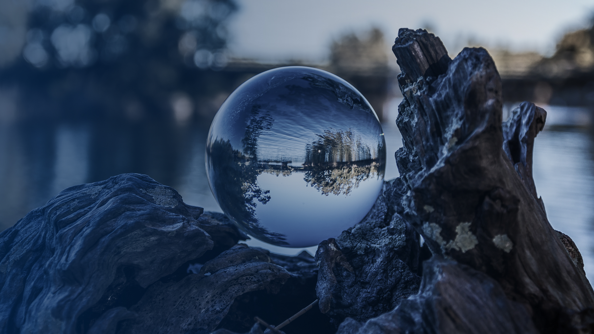 First Sentier Geared Australian Share Fund Complex ETF | First Sentier ...