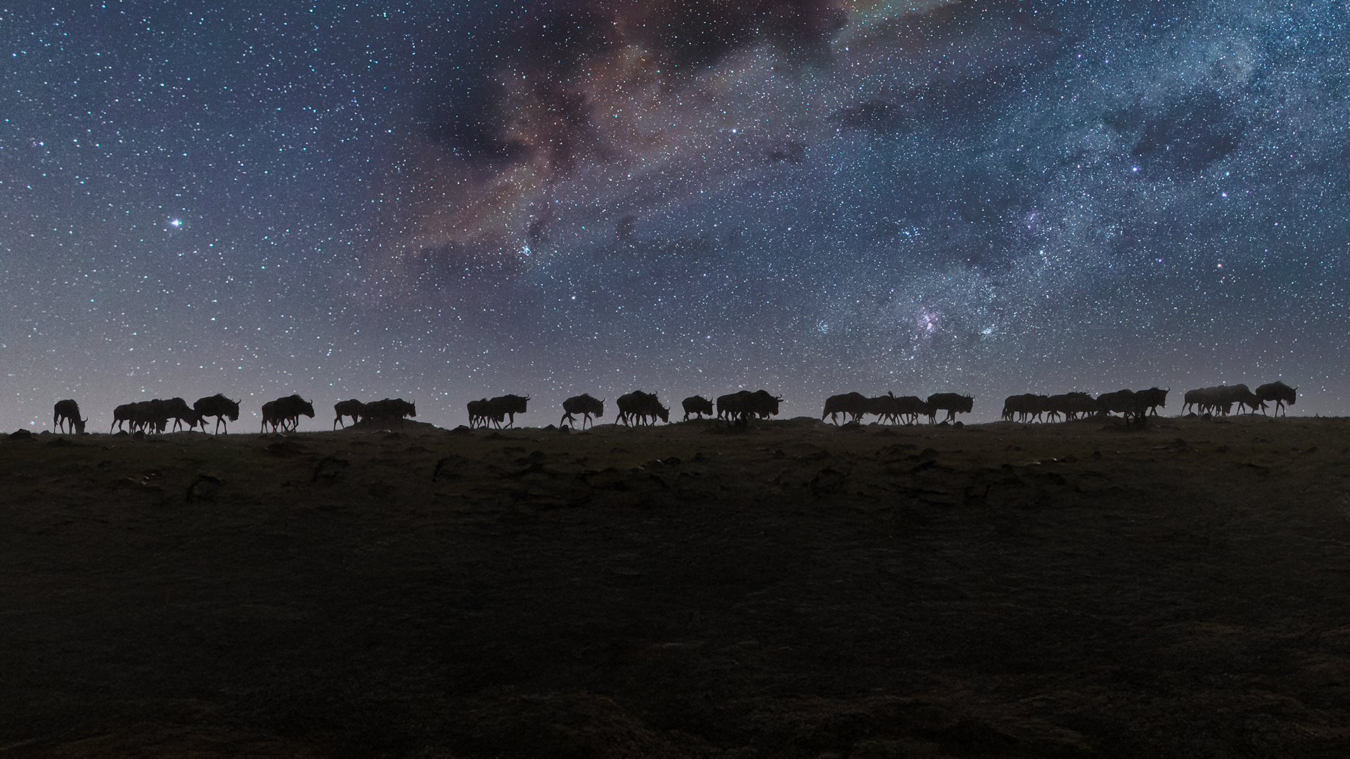 Running against the herd